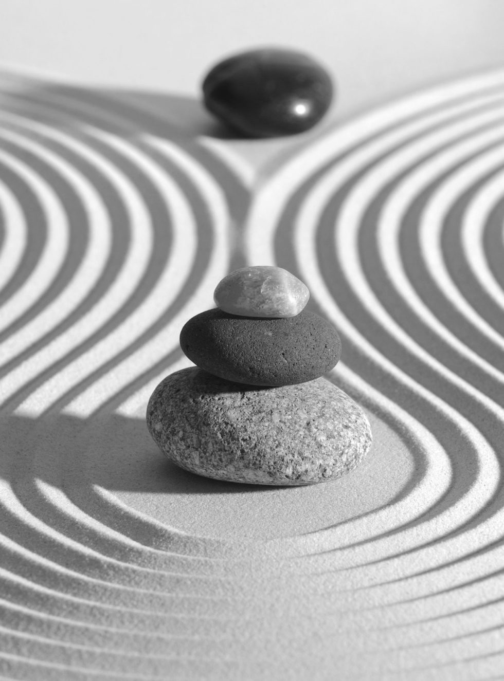 Individual Therapy | Self Discovery Therapy